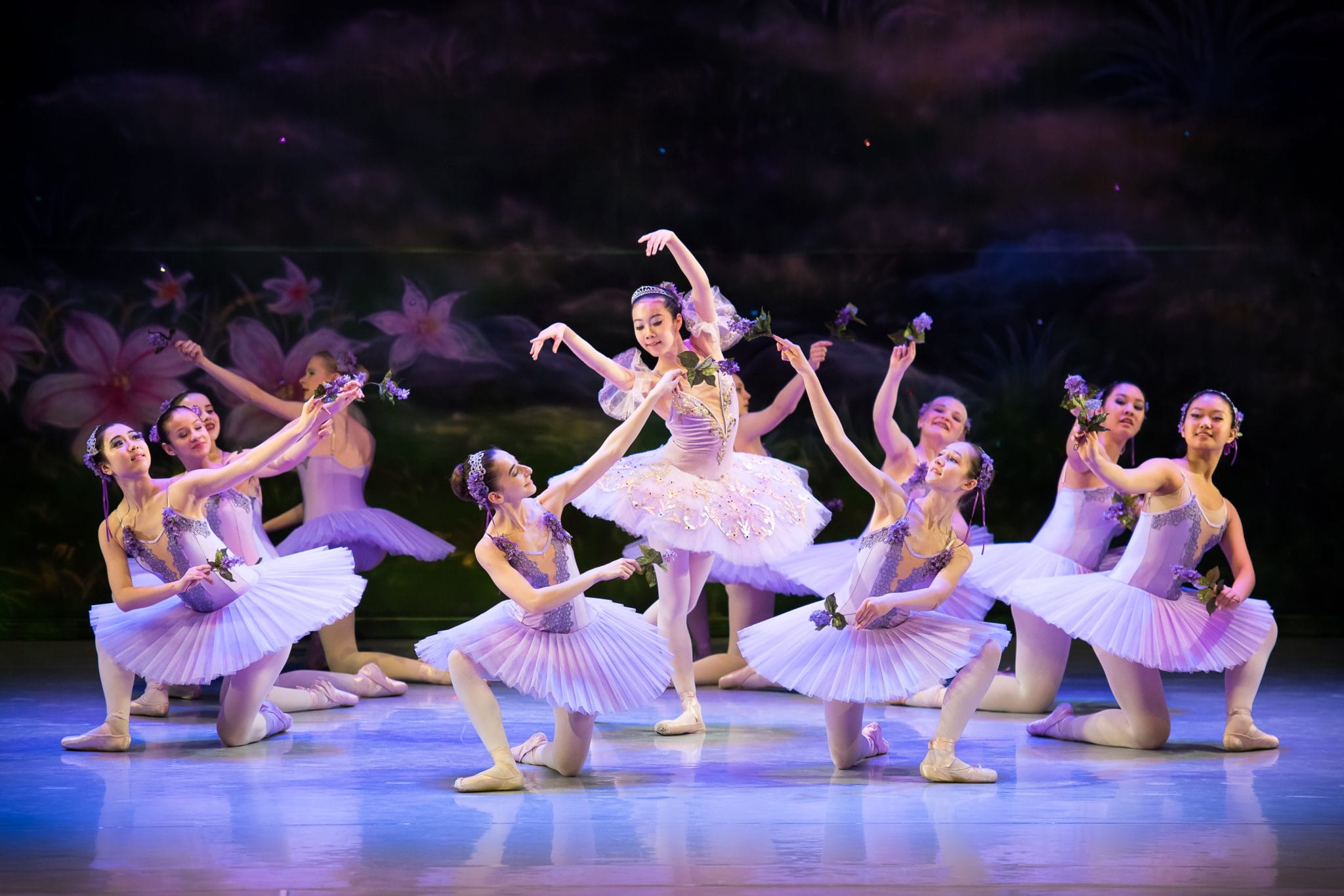 Homepage - Victoria Ballet Academy